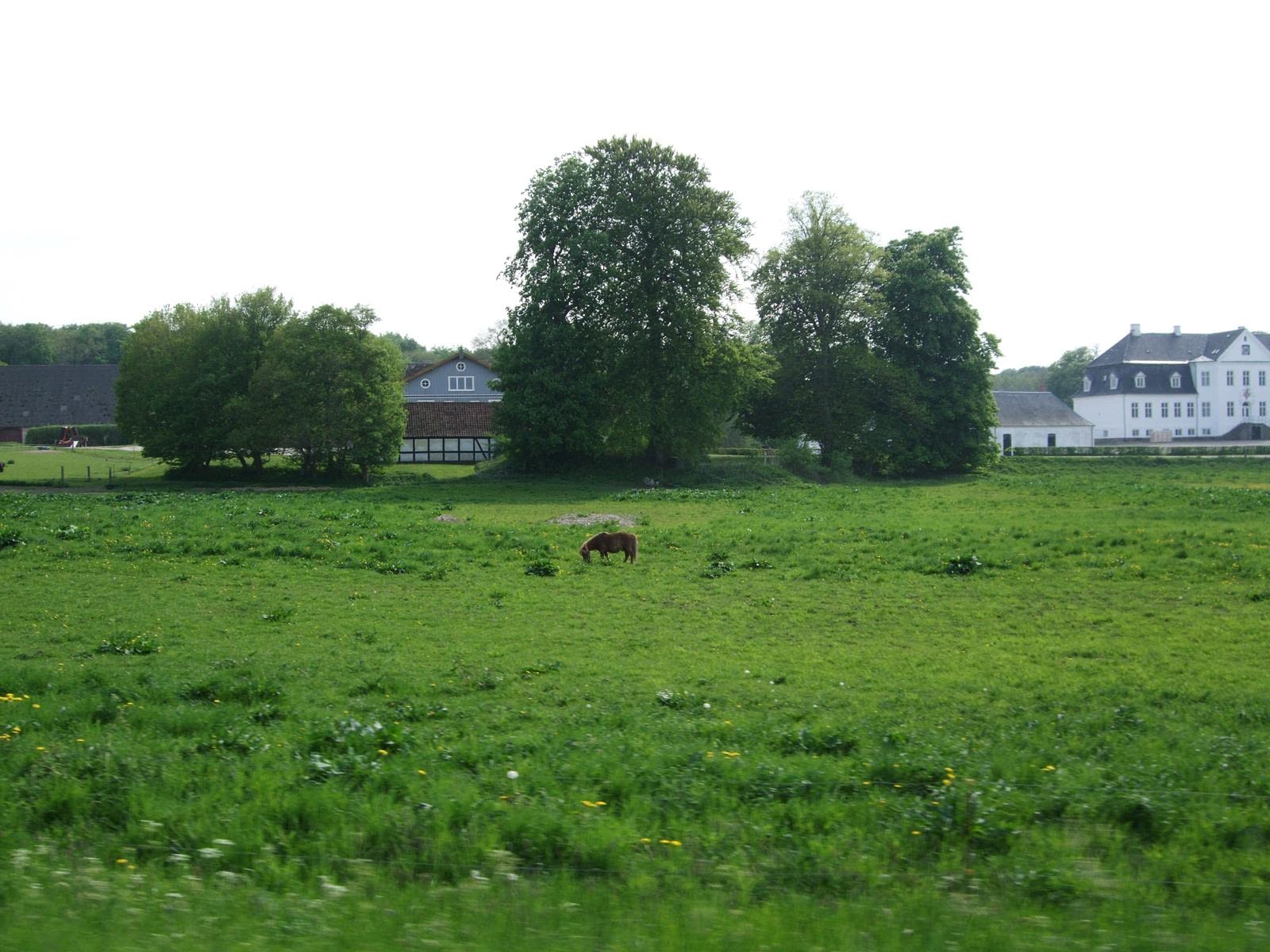 Skovbrug - Lundsgaard Gods